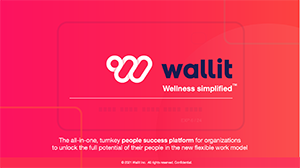 Overview Deck | Wallit | A Wellness Wallet for Modern Teams
